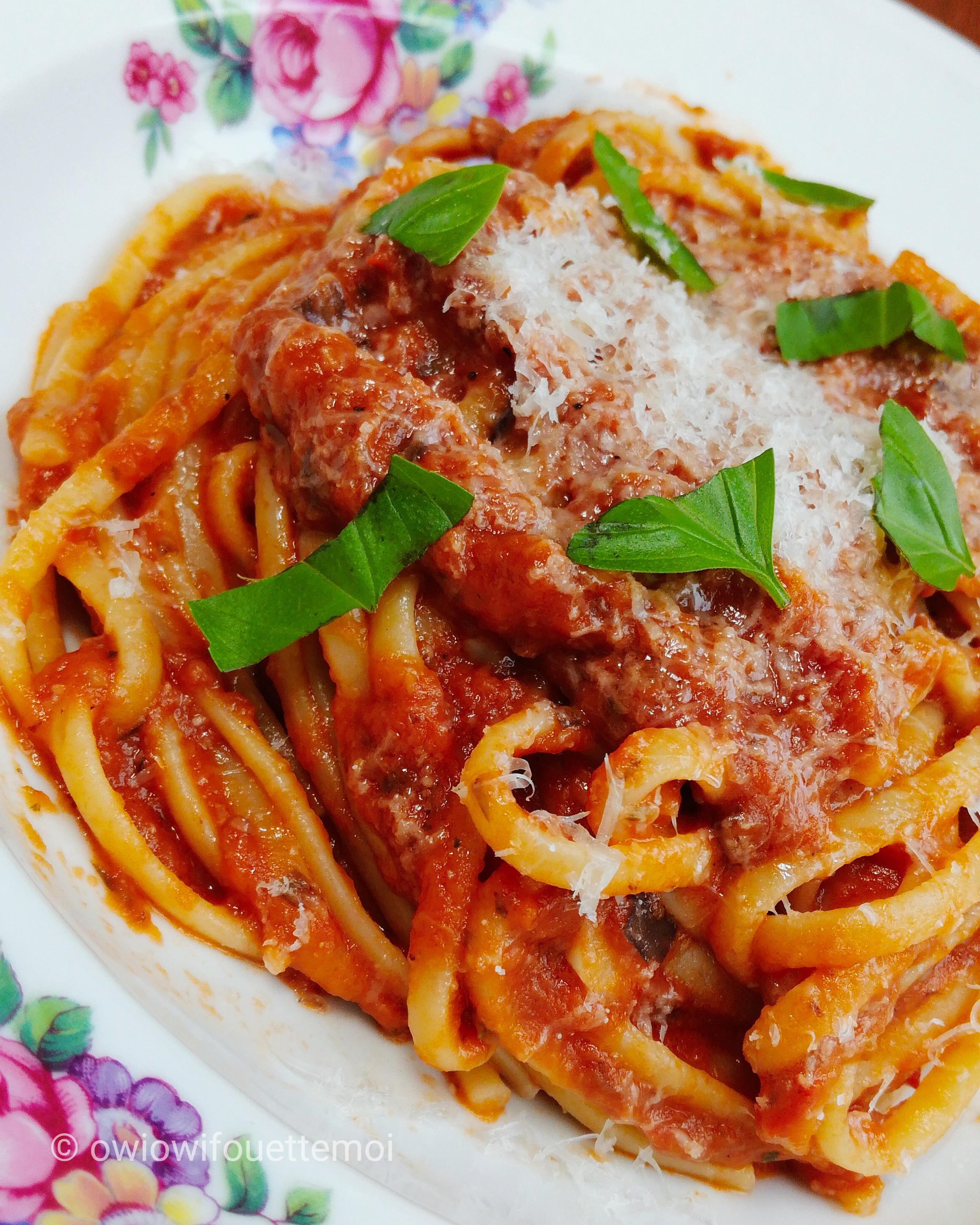 Pasta Parmigiana – Owi Owi Fouette-Moi