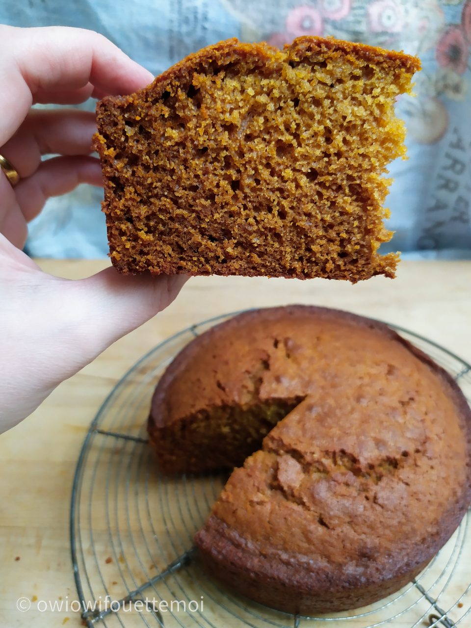 Fairy Cake – Owi Owi Fouette-Moi